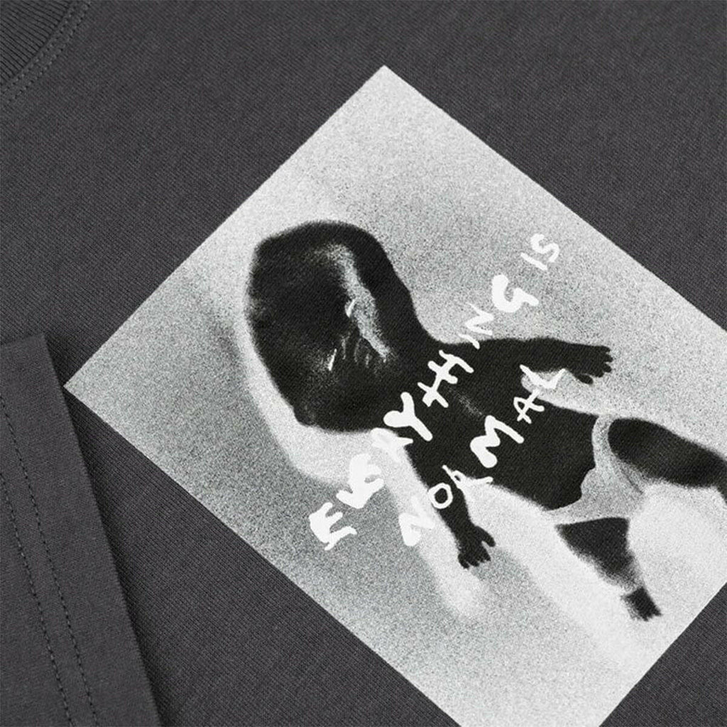 Polar Everything Is Normal Tee Graphite